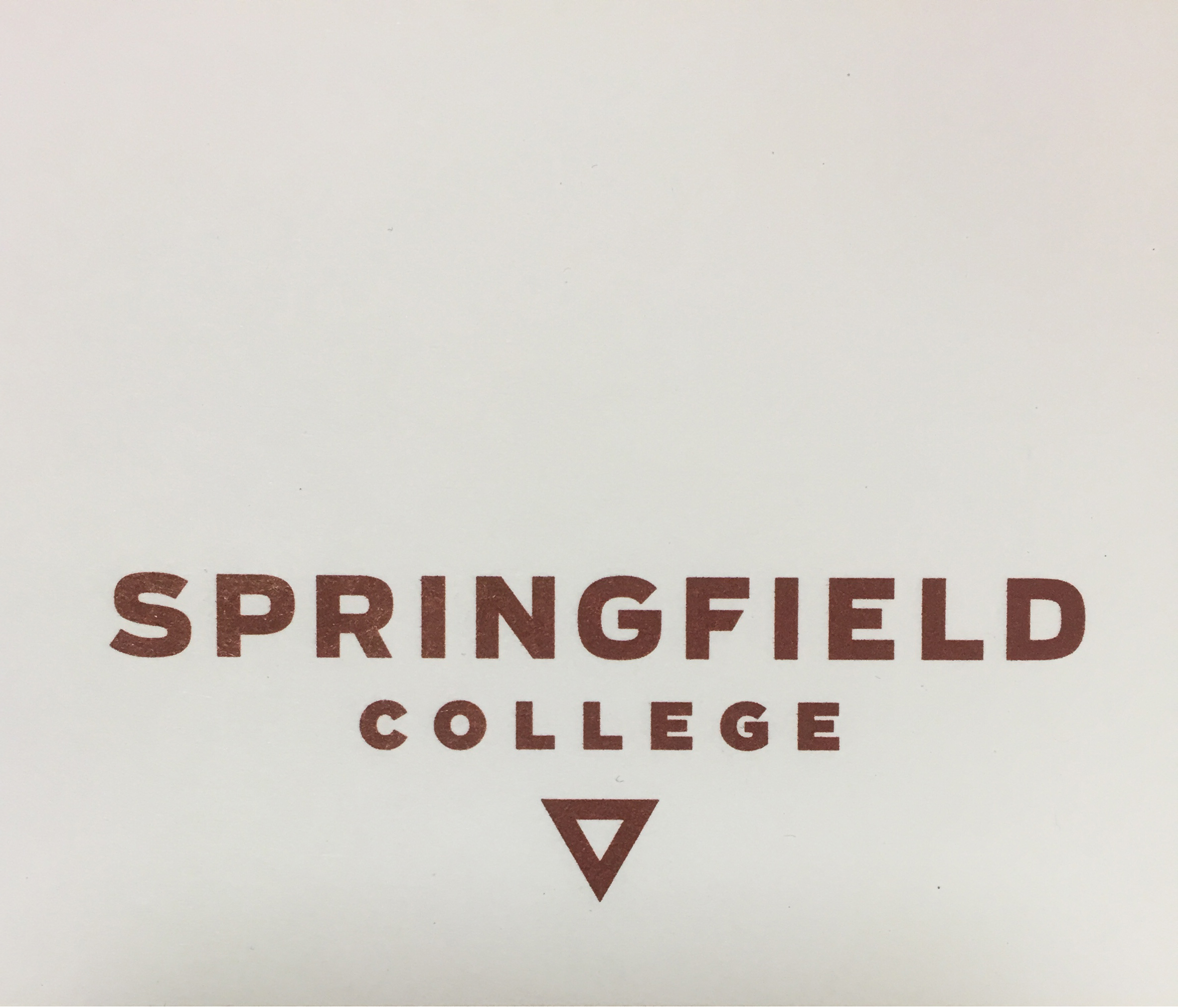 The Future of Youth Development at Springfield College - The ...