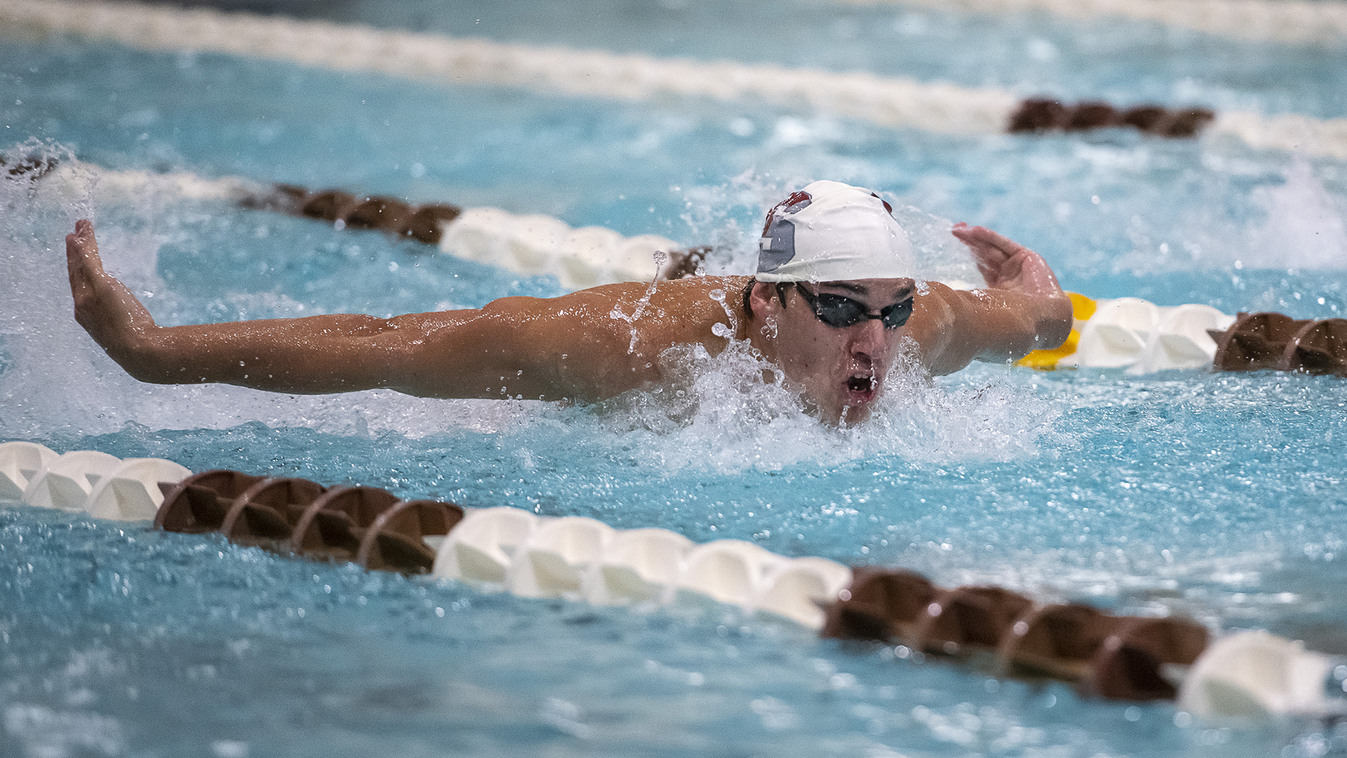 Swimming and Diving teams focus in on the NEWMAC championships