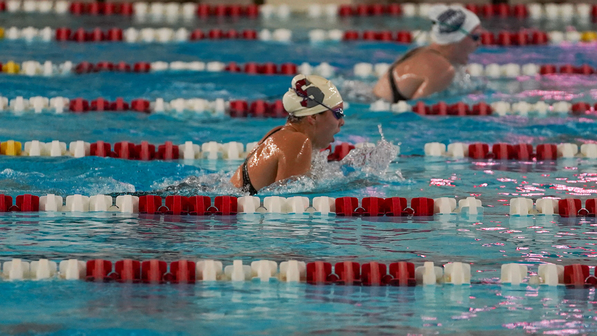 Springfield swim teams make a statement at NEWMAC Championships