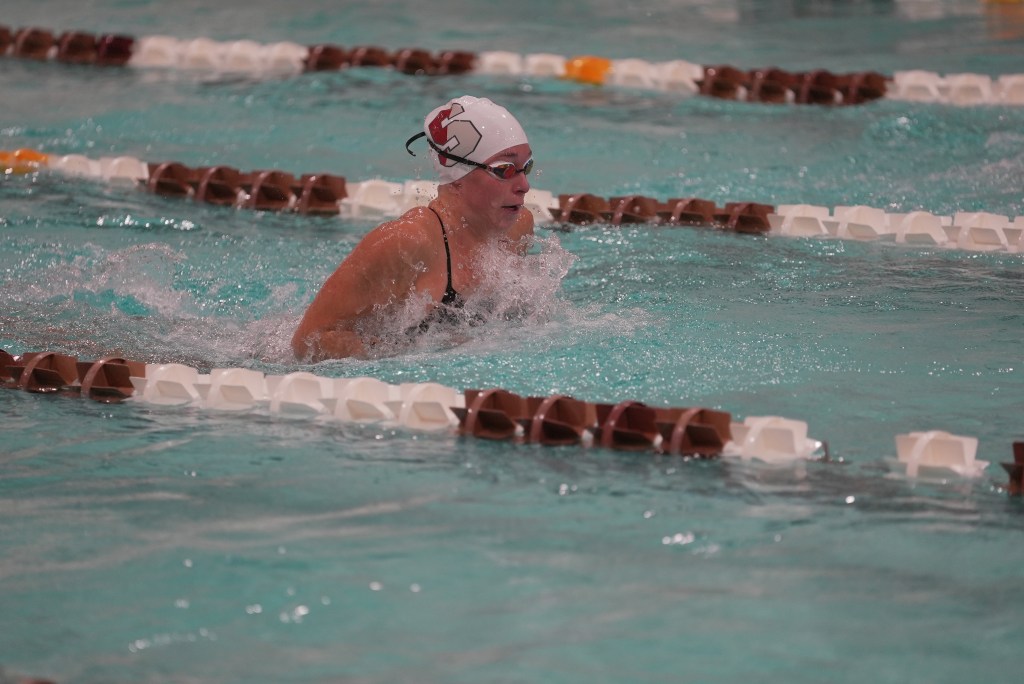 Springfield swim and dive teams ready for NEWMAC Championship